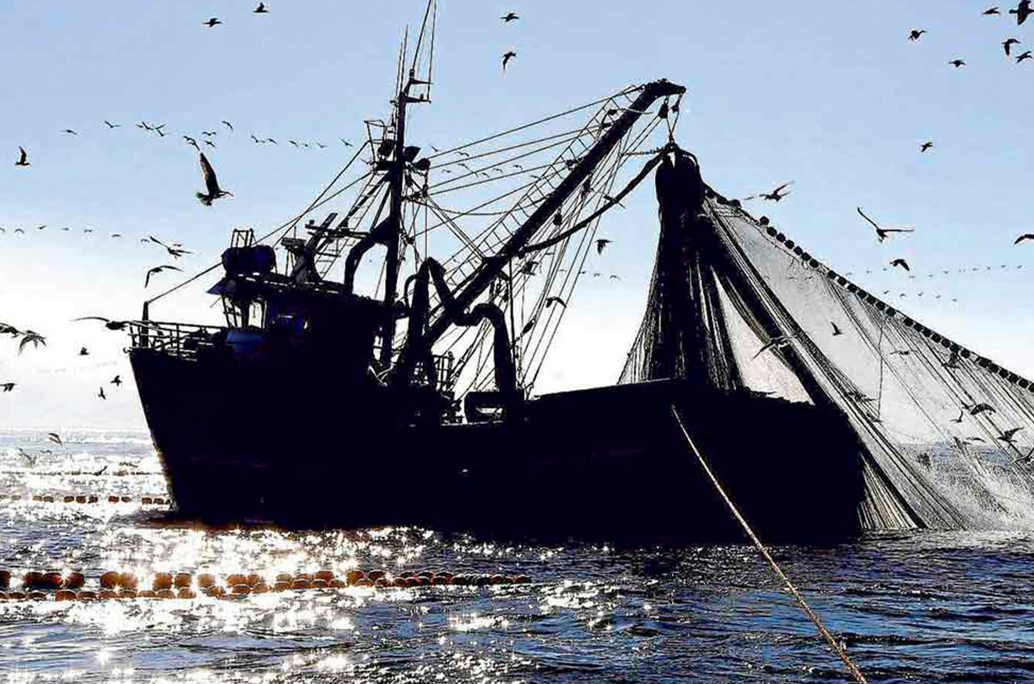 Ecuador ratifica su compromiso en la lucha contra la pesca ilegal, no ...