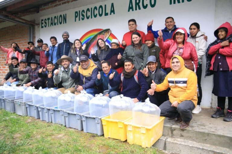 MPCEIP entrega 200 000 alevines y fortalece la producción piscícola en ...